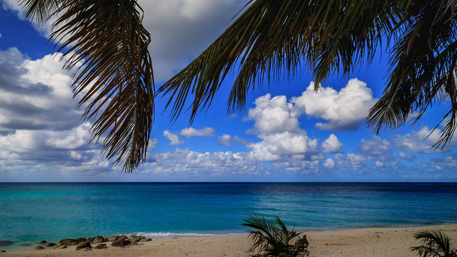 Bimini Cruise Port: What to See, Do, and Explore