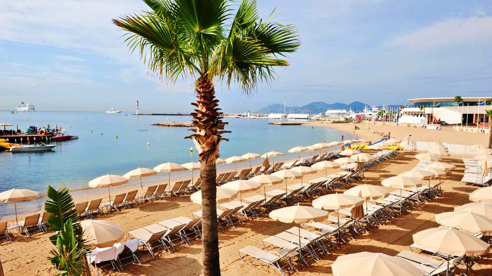 Cannes Cruise Port Guide (2025): Tender Tips, La Croisette & Day Trips