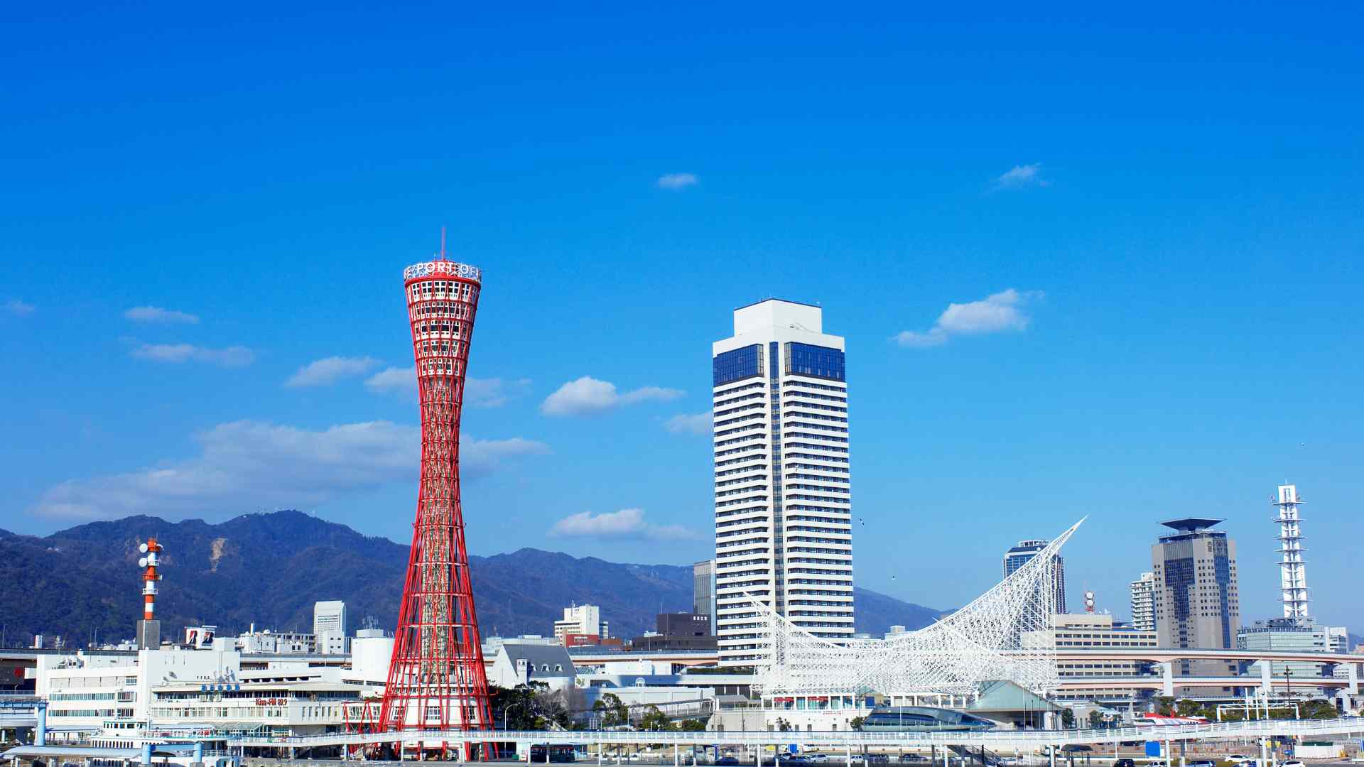 Kobe Cruise Port Guide (2025): Port Transport, Sannomiya & Day Trips