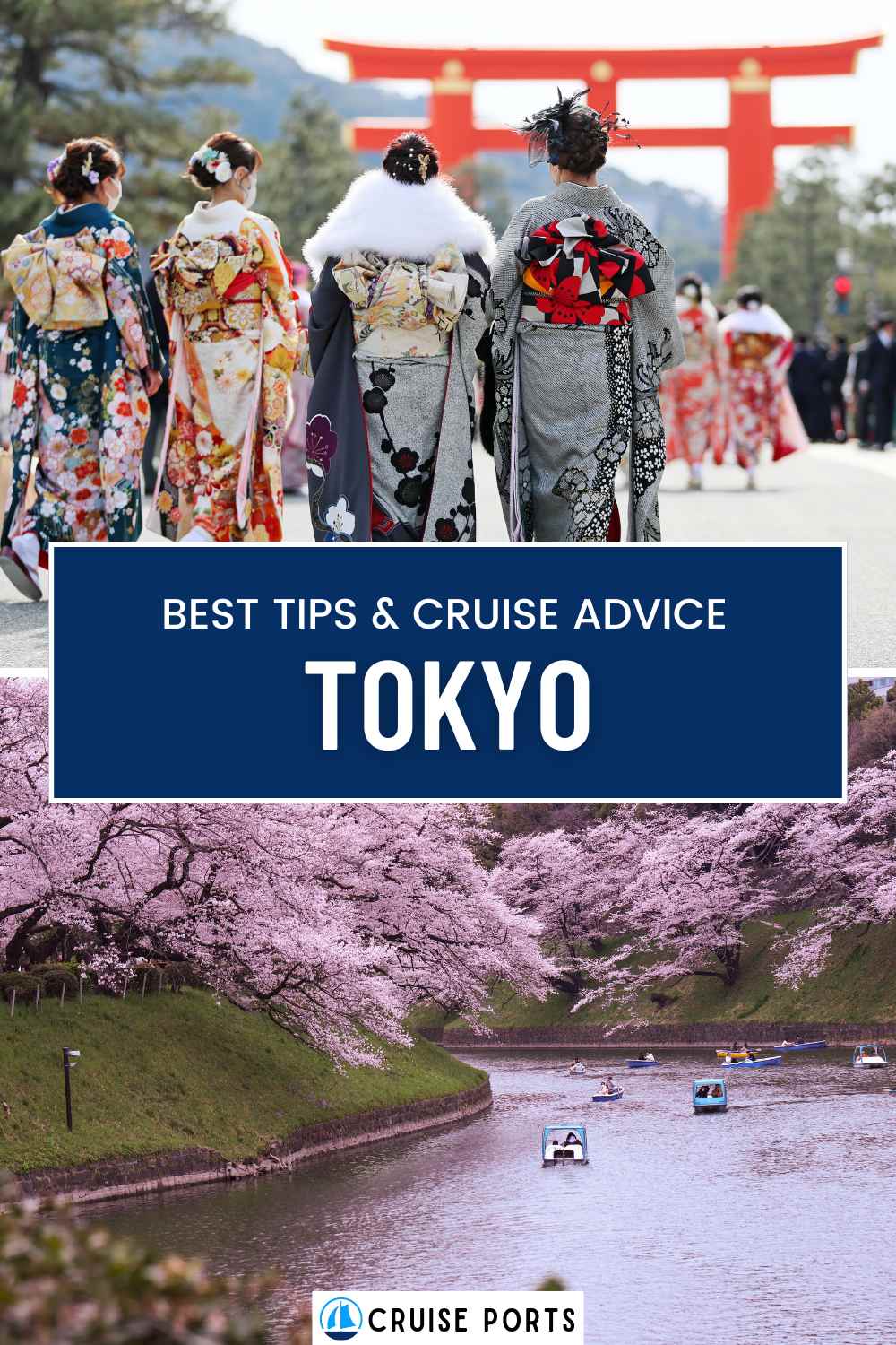 Tokyo Cruise Ports Guide (2025): Harumi vs Oi, Transfers & Day Trip Tips