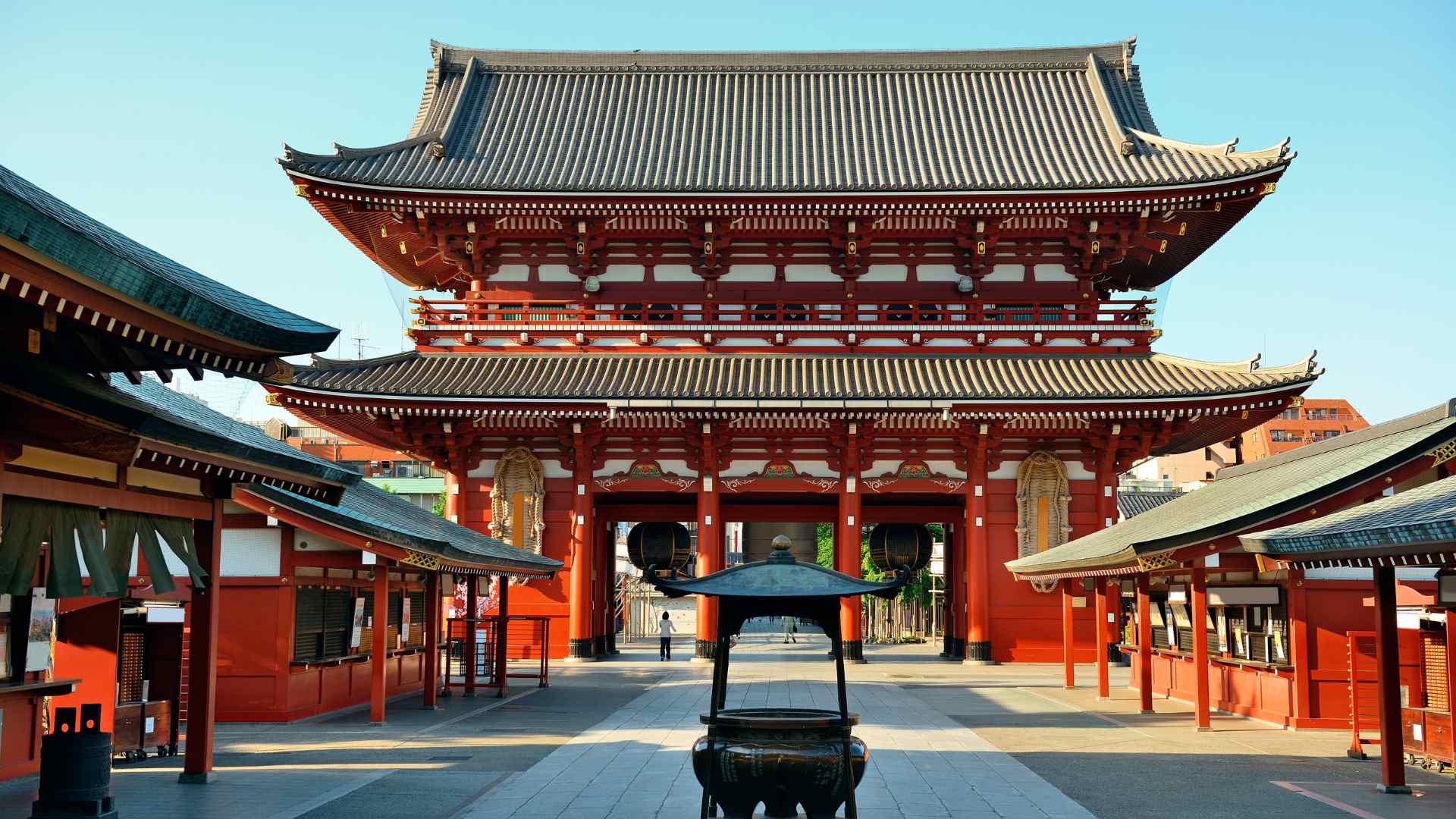 Tokyo Cruise Ports Guide (2025): Harumi vs Oi, Transfers & Day Trip Tips