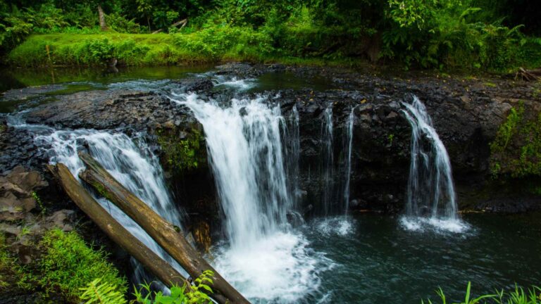 Apia Cruise Port Guide (2025): Markets, Waterfalls & Island Tours