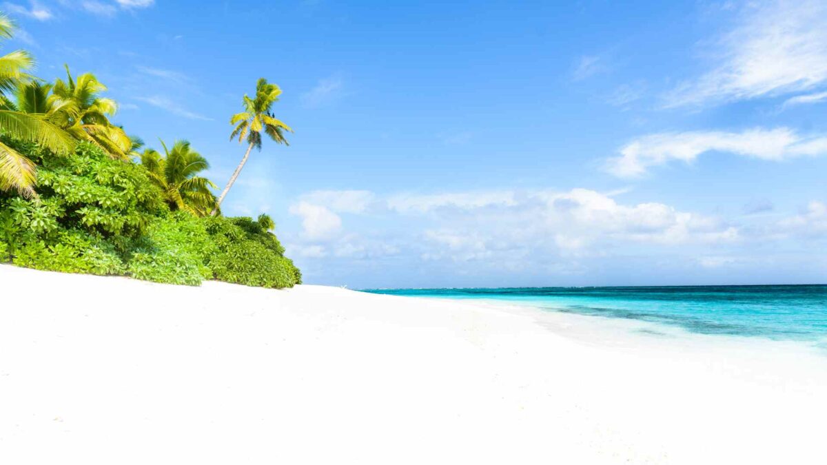 Dravuni Island Cruise Port Guide (2025): Beaches, Snorkeling & Tips