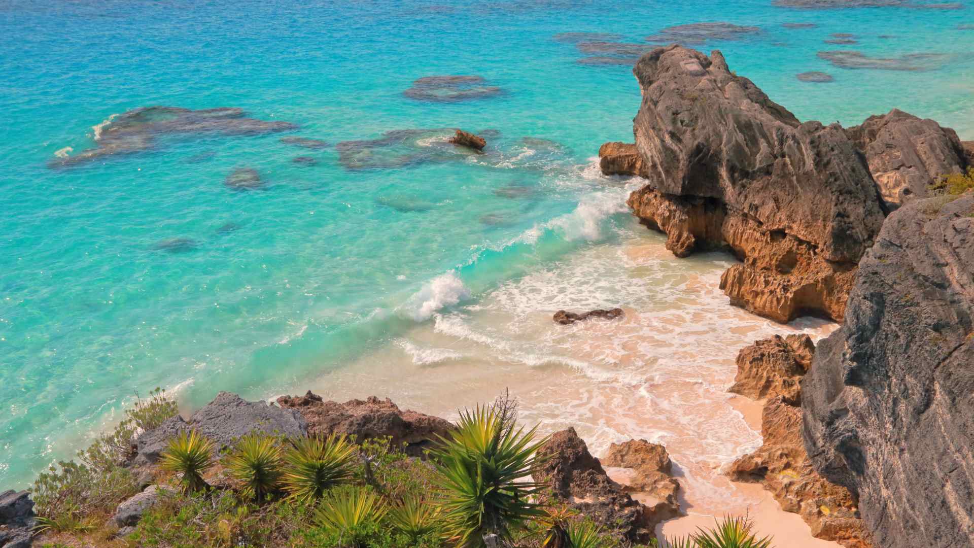 Ensenada Cruise Port Guide (2025): La Bufadora, Wineries & Day Trips