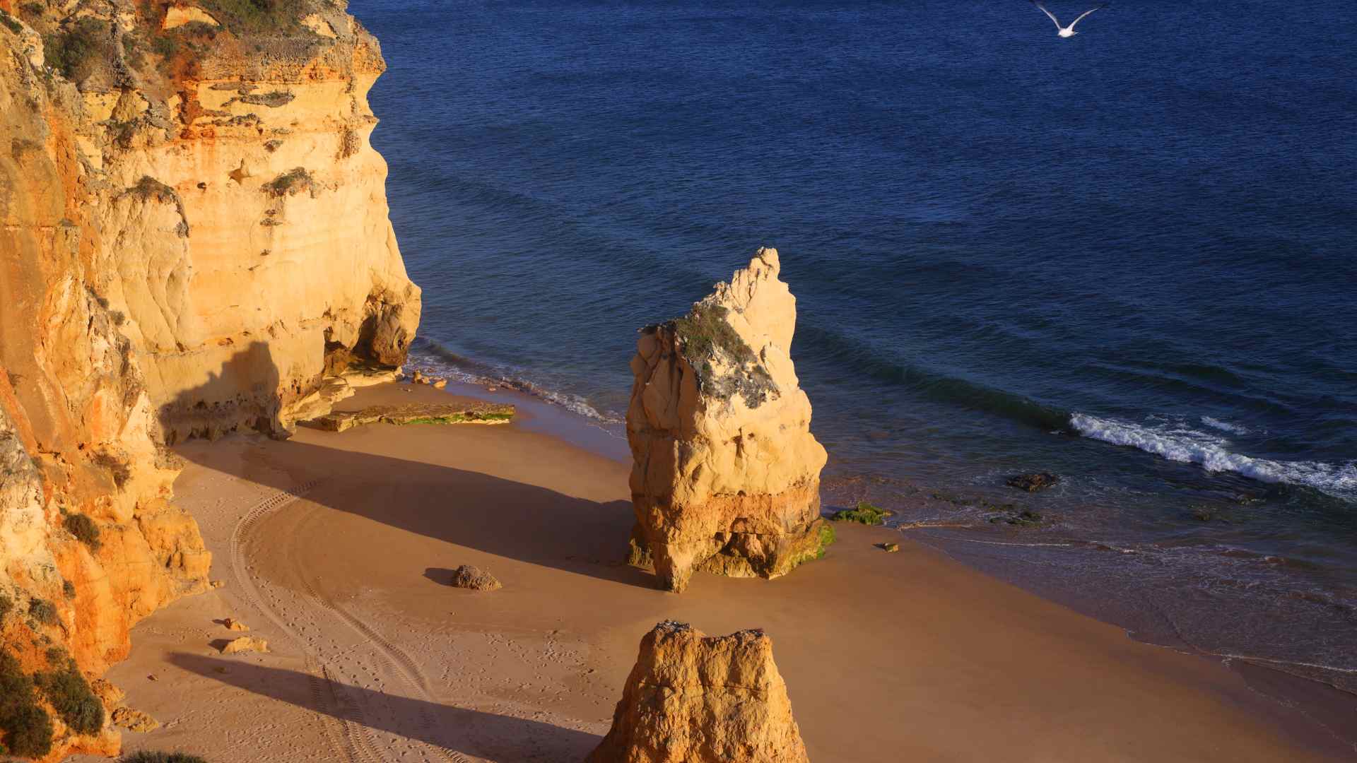 Portimão Cruise Port Guide (2025): Algarve Beaches, Caves & Day Trips
