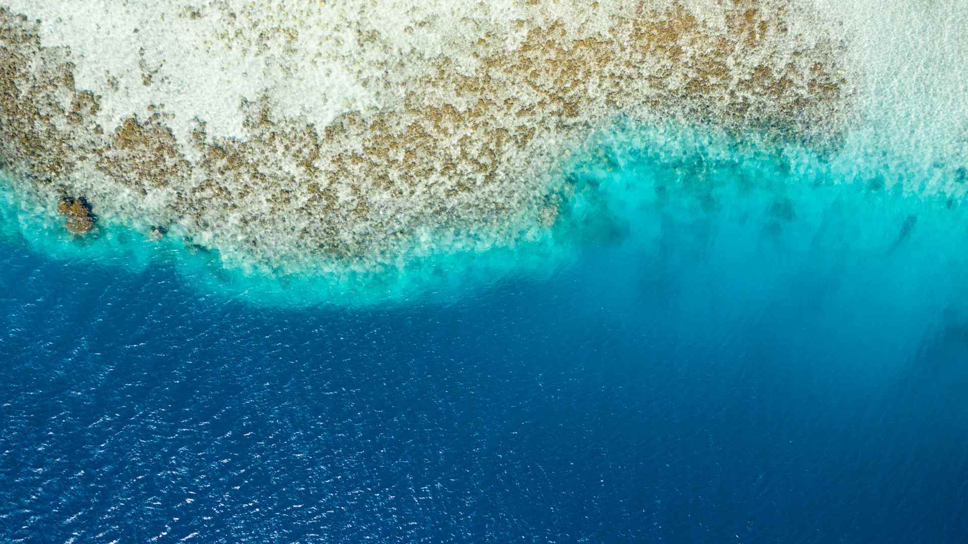 Raiatea Cruise Port Guide (2025): Sacred Sites, Lagoon Tours & Tips