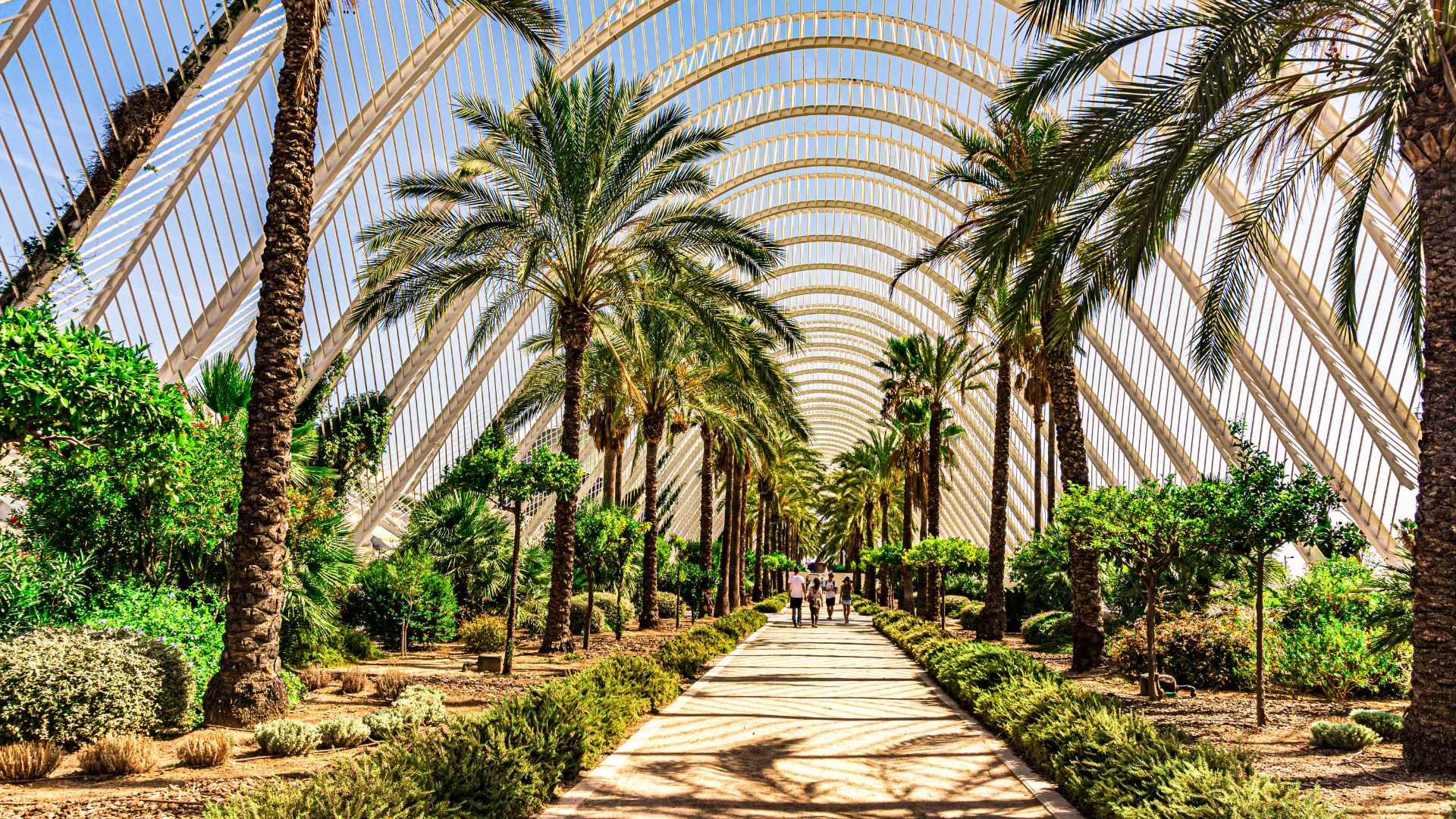 Valencia Cruise Port Guide (2025): City of Arts, Beaches & Transport