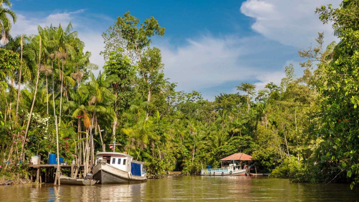 Belém Cruise Port Guide (2025): Markets, Amazon River & Day Trips