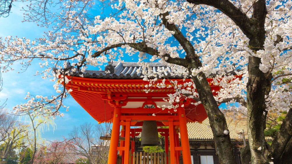 Japan Cruise Ports Guide (2025): Honshu, Kyushu, Hokkaido & Top Stops