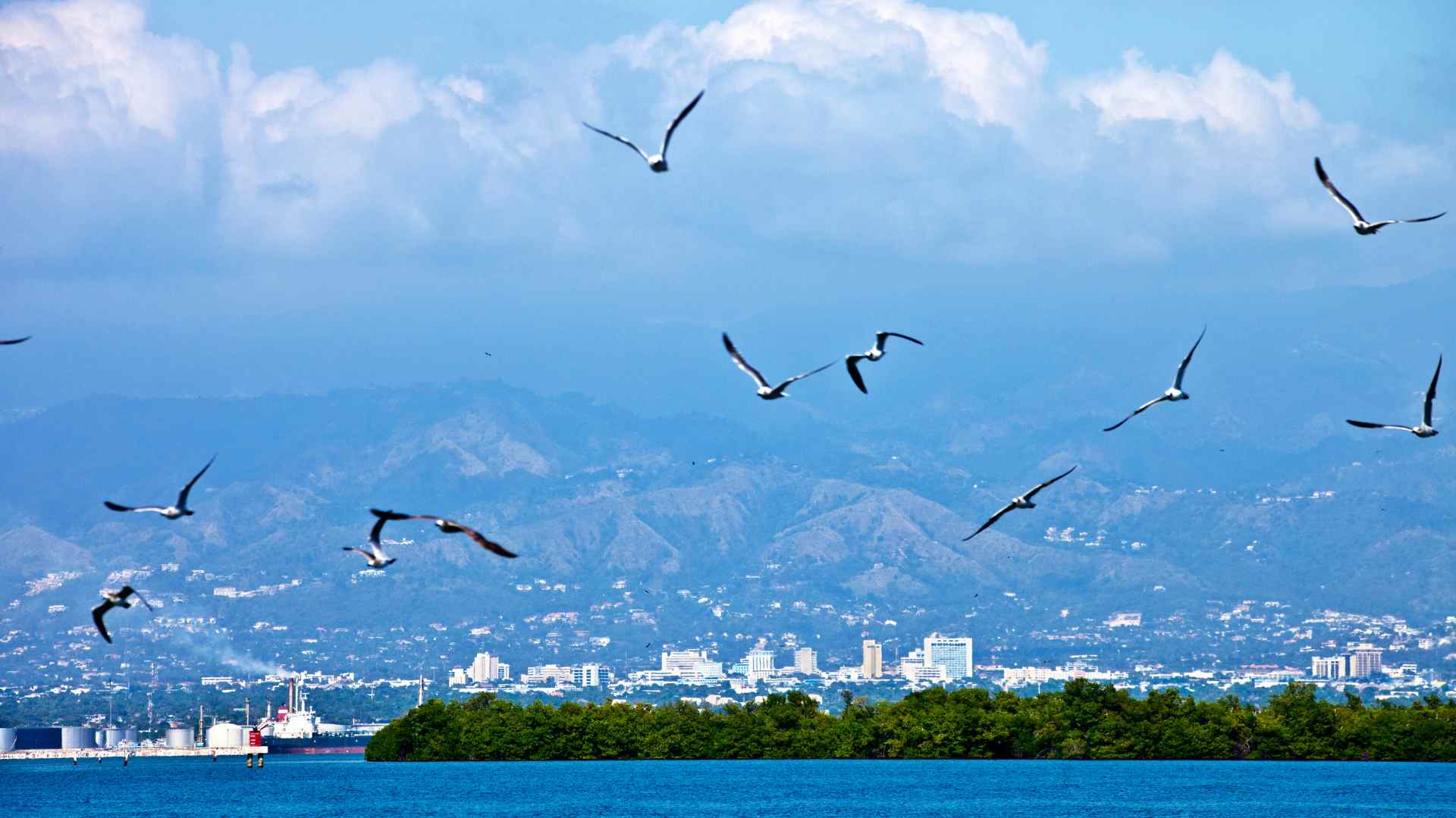 Kingston Cruise Port: The Ultimate Guide
