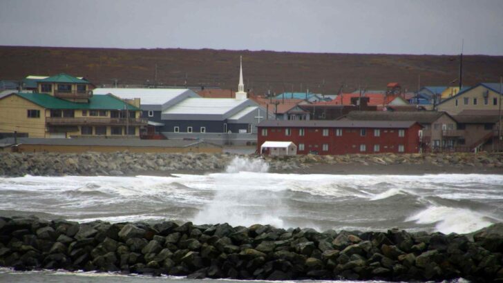 Nome Cruise Port Guide (2025): Gold Rush Sites, Wildlife & Tours