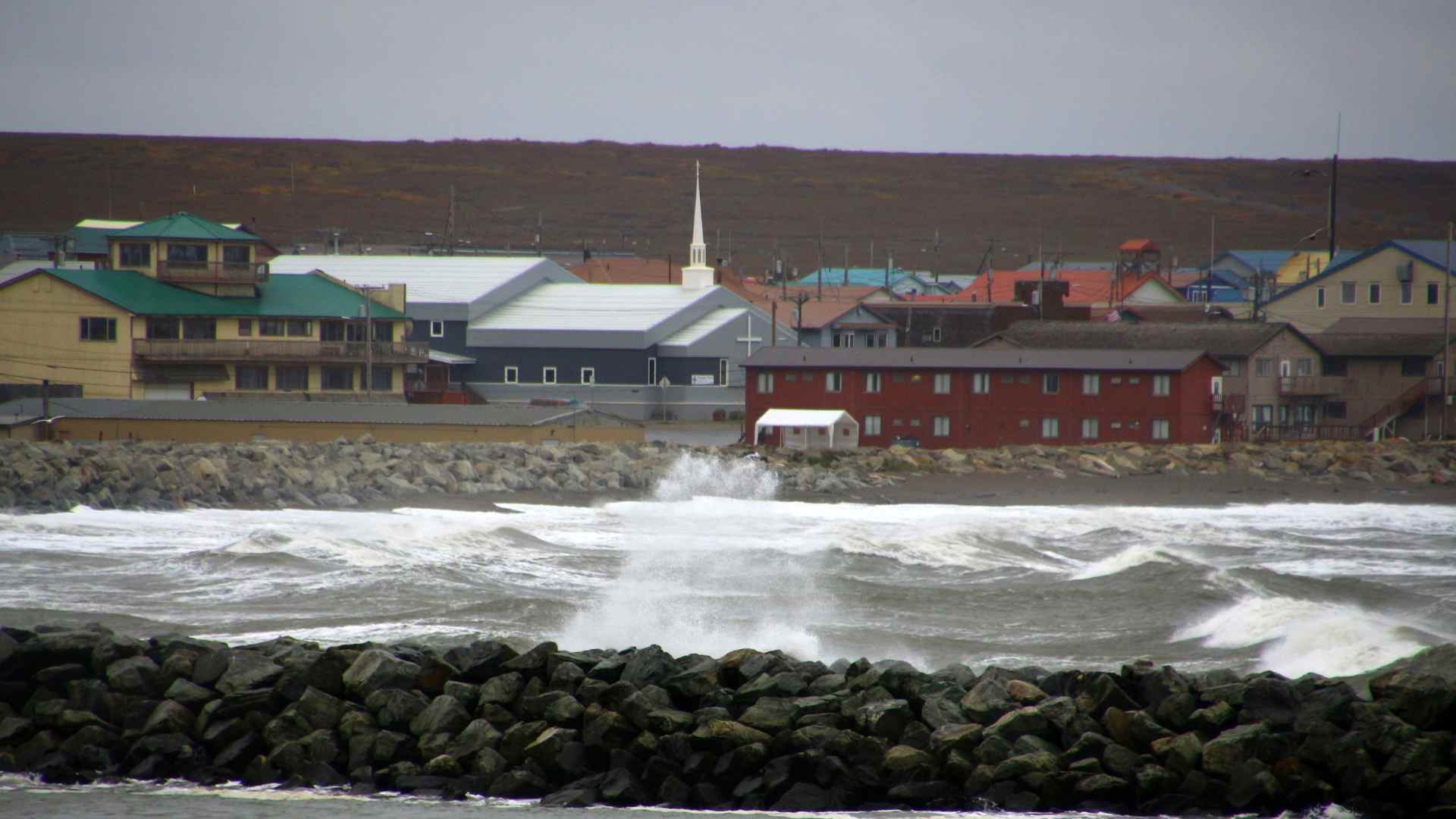 Nome Cruise Port Guide (2025): Gold Rush Sites, Wildlife & Tours