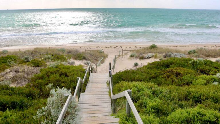 Perth (Fremantle) Cruise Port Guide (2025): Transfers & Top Sights