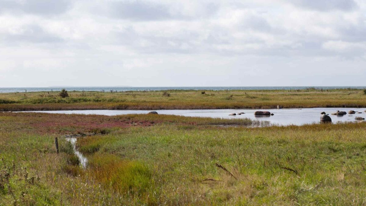 Pond Inlet Cruise Port: The Ultimate Guide