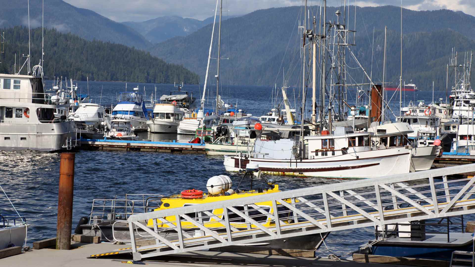 Prince Rupert Cruise Port: The Ultimate Guide