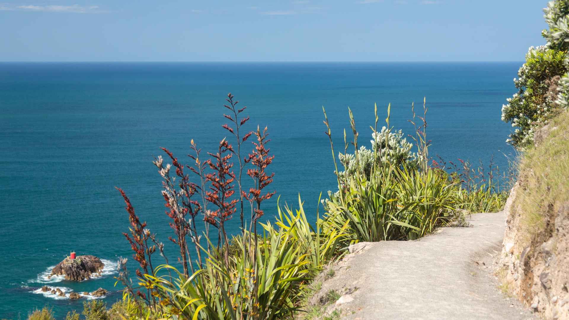 Tauranga Cruise Port Guide (2025): Mount Maunganui, Rotorua & Day Trips