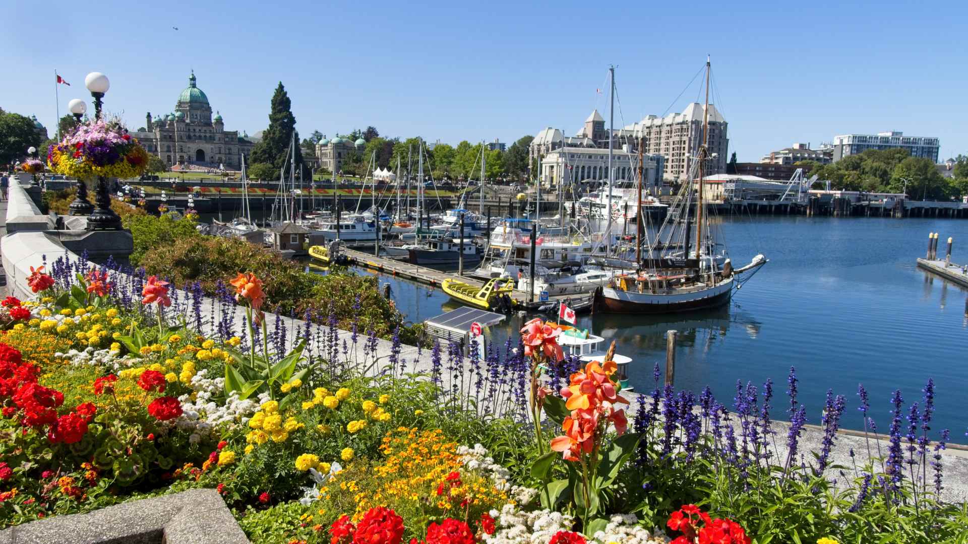 Victoria (BC) Cruise Port Guide (2025): Butchart Gardens, Inner Harbour ...