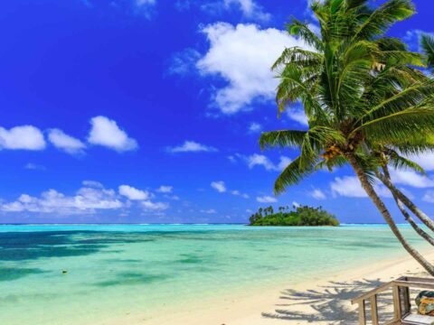 Avignon River Cruise Port Guide (2025): Palais des Papes & Day Trips