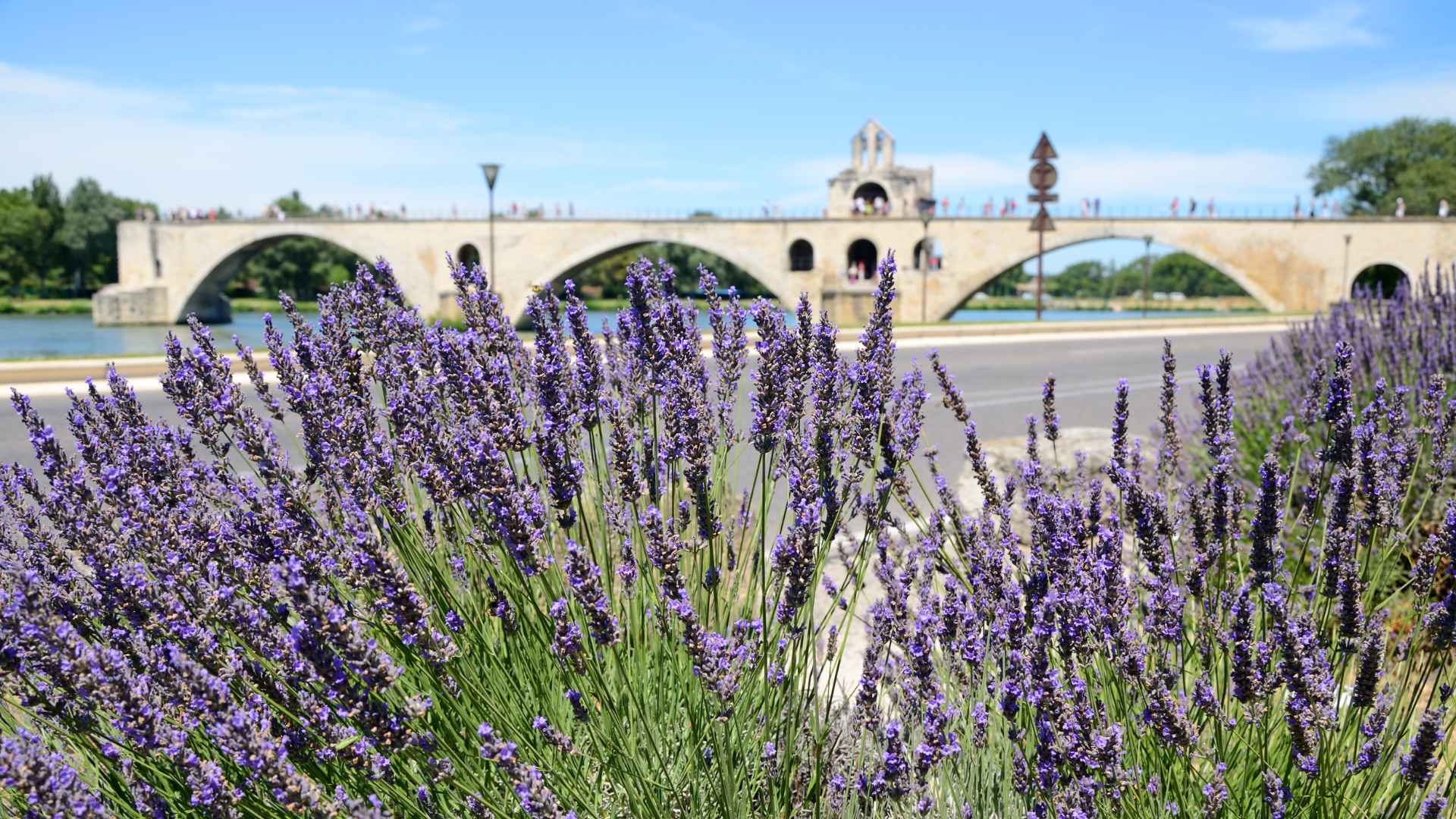 Avignon River Cruise Port Guide (2025): Palais des Papes & Day Trips