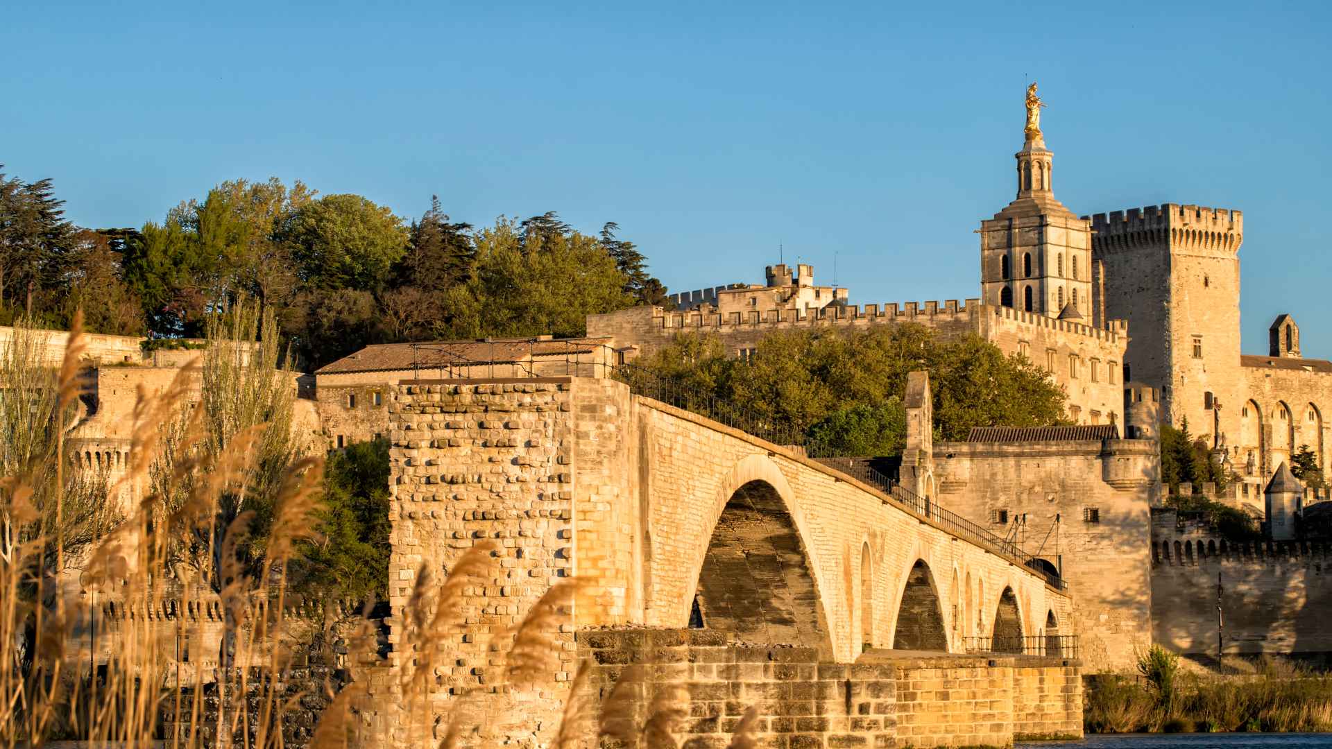 Avignon River Cruise Port Guide (2025): Palais des Papes & Day Trips